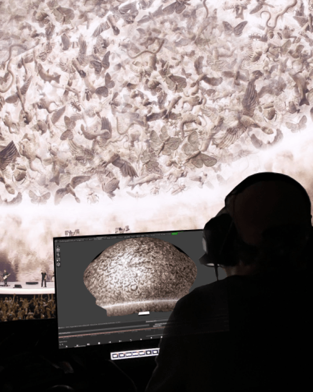 Essentials | Disguise